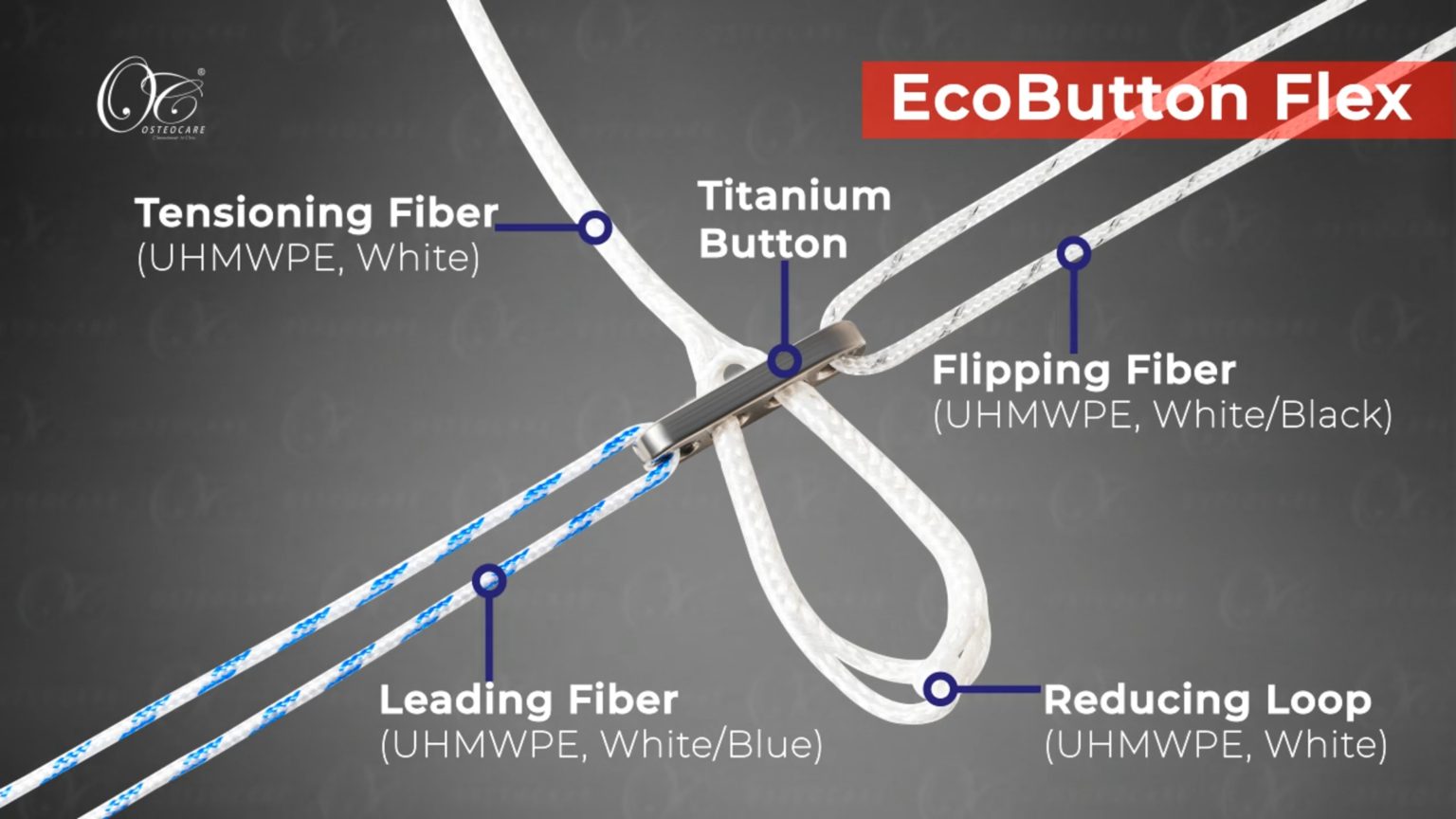 OC EcoButton Flex- The World’s First Hybrid Loop For Cruciate ...